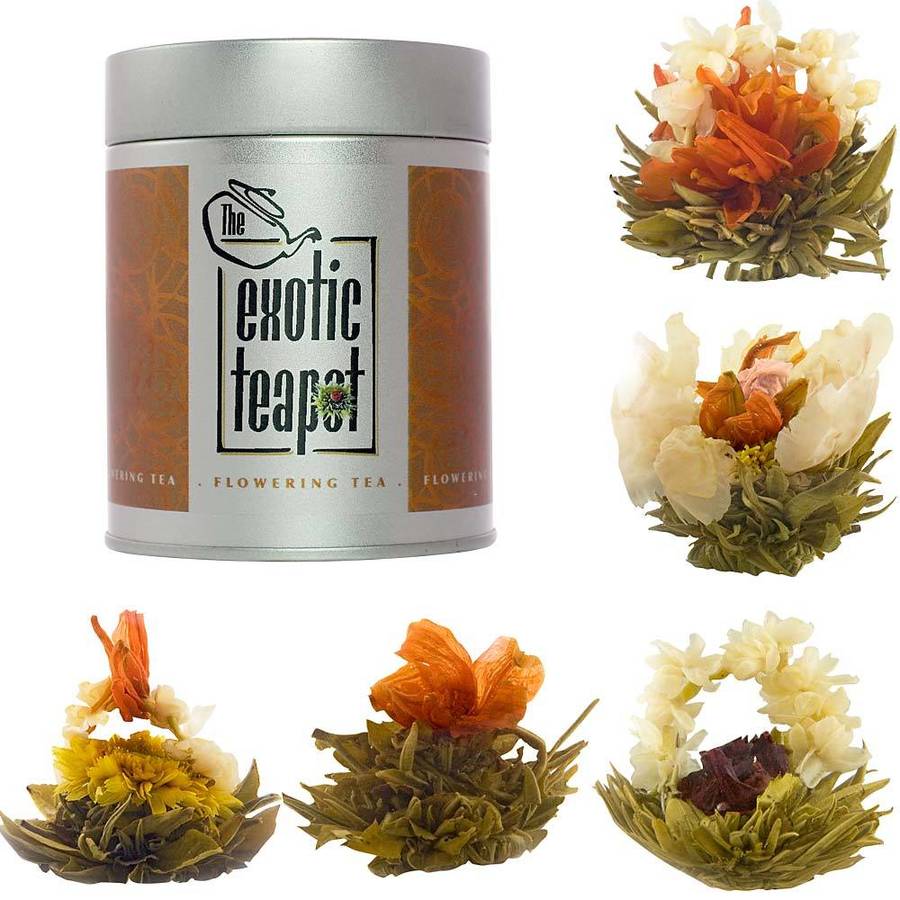 Flowering Tea Glass Infuser Mug Set By The Exotic Teapot