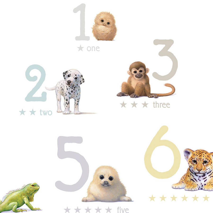 illustrated animals number print by little blue zebra ...