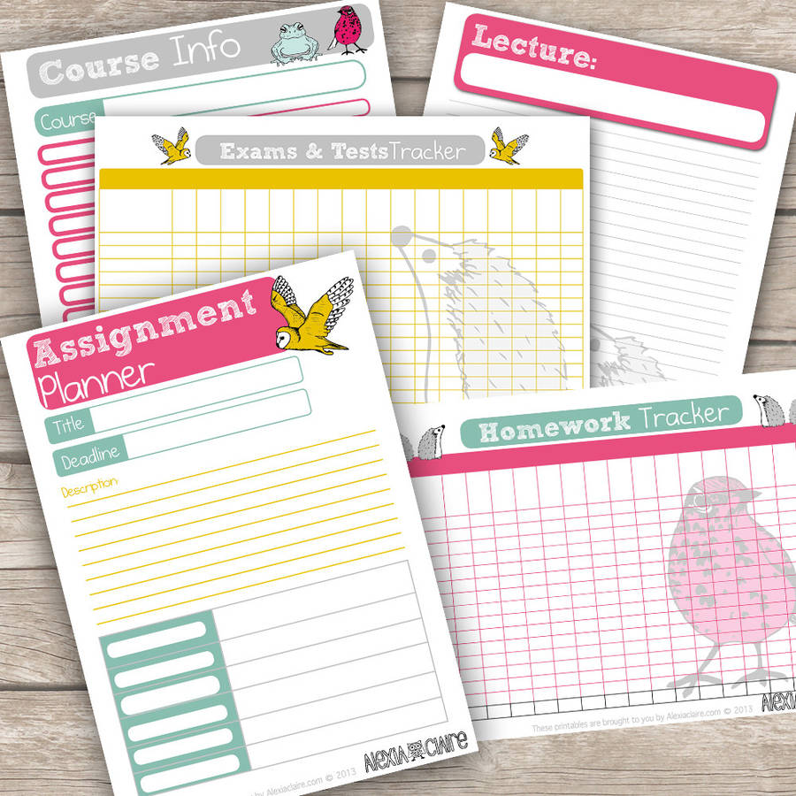 Printable Student Planner 40 Pages By Alexia Claire 