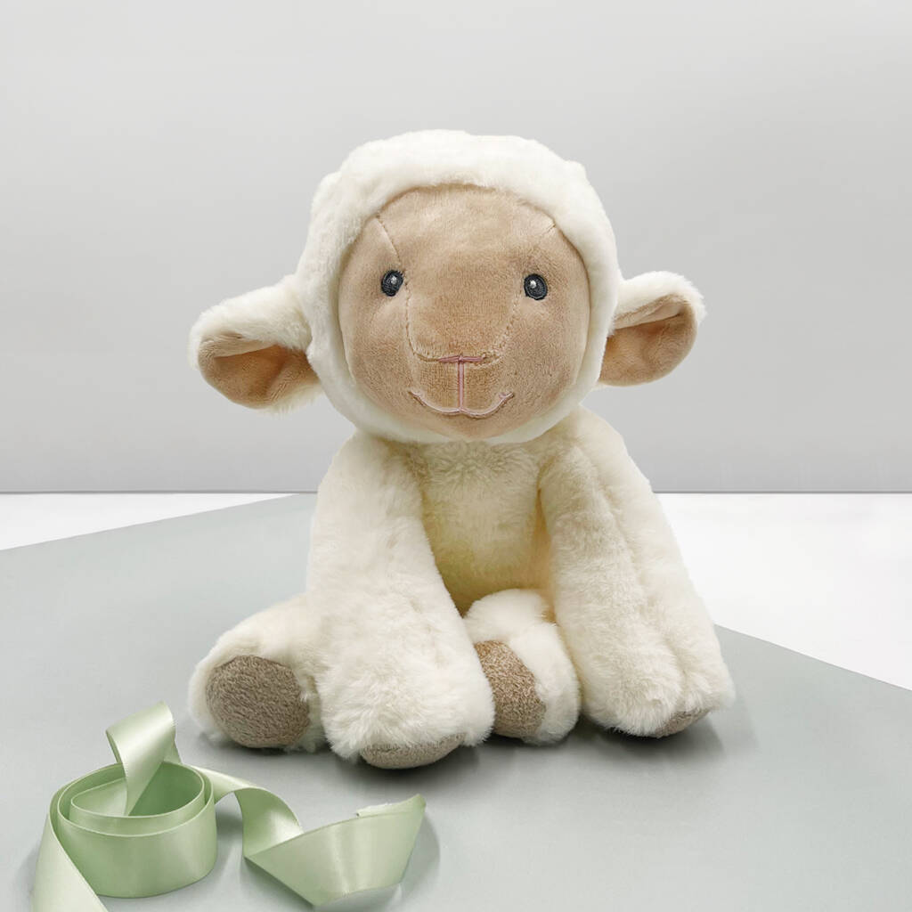 Little Lamb Welcome Baby Hamper By Babyblooms | notonthehighstreet.com