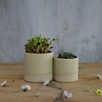 Set Of Two Handmade Stone Ceramic Plant Pots By Habulous ...