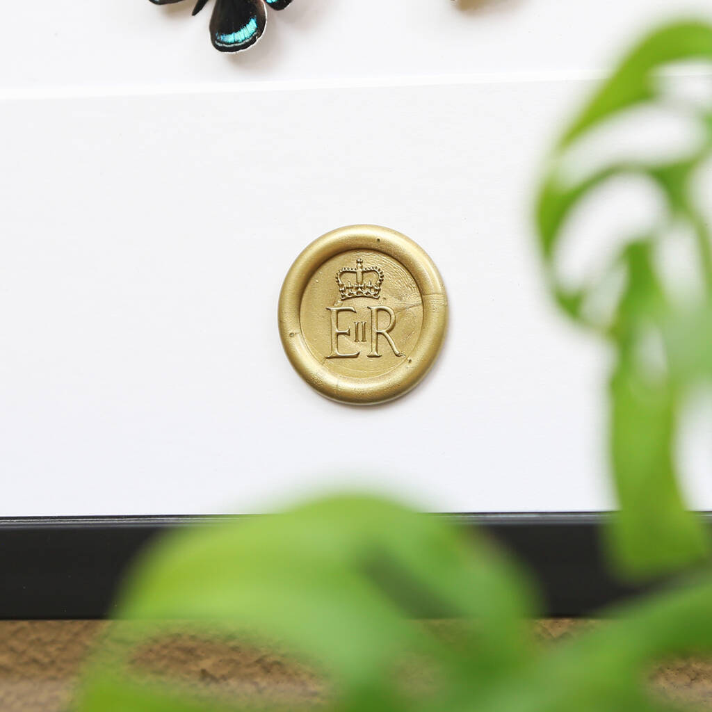 Royal Monarch Collection Frame By Curated Studio | notonthehighstreet.com