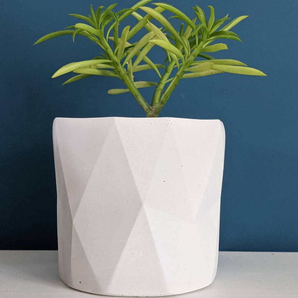 Handmade Geometric Plant Pot By Four Homeware | notonthehighstreet.com