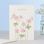 Geranium Birthday Card By Eloise Hall | notonthehighstreet.com