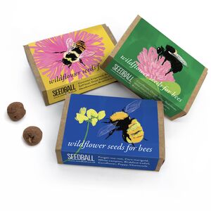 Seeds and Bulbs | Send Seeds as a Gift | notonthehighstreet.com