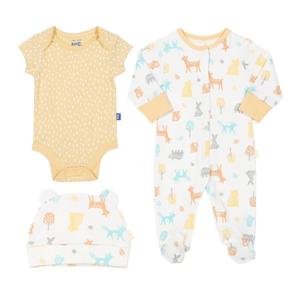 Luxury Baby Gift Collection In Keepsake Case By Natural Baby Box ...