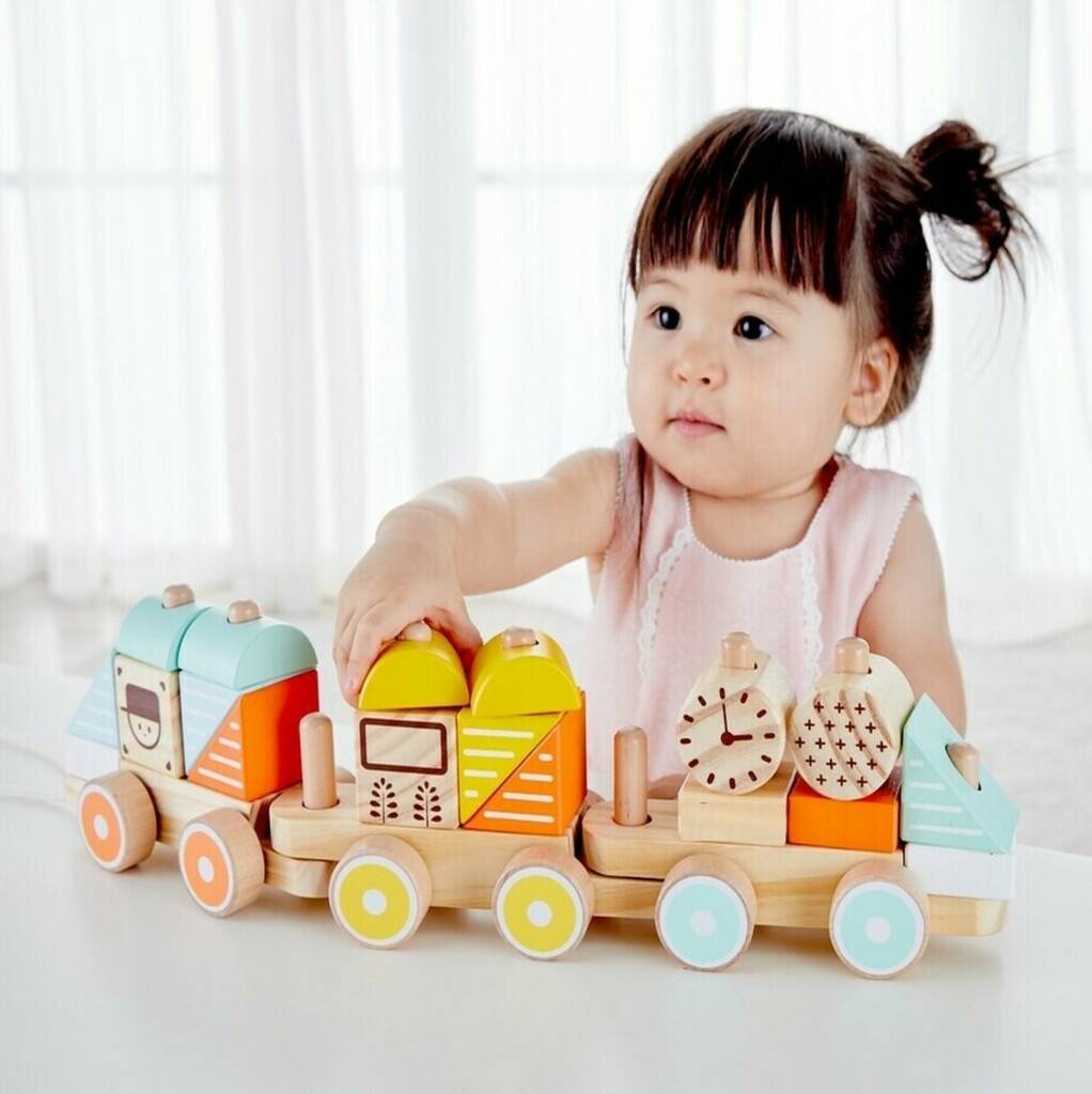 Pull Along Activity Train 2yrs+ By Alice Frederick | notonthehighstreet.com