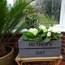 vintage apple crate by vintage crates | notonthehighstreet.com