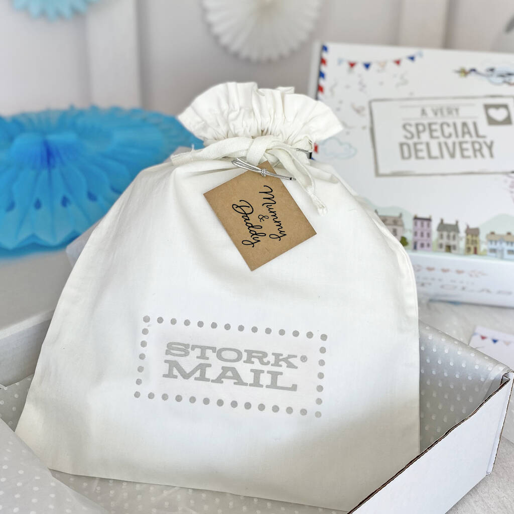Bump To Baby, Gift For New And Expectant Parents, Box By Stork Mail ...