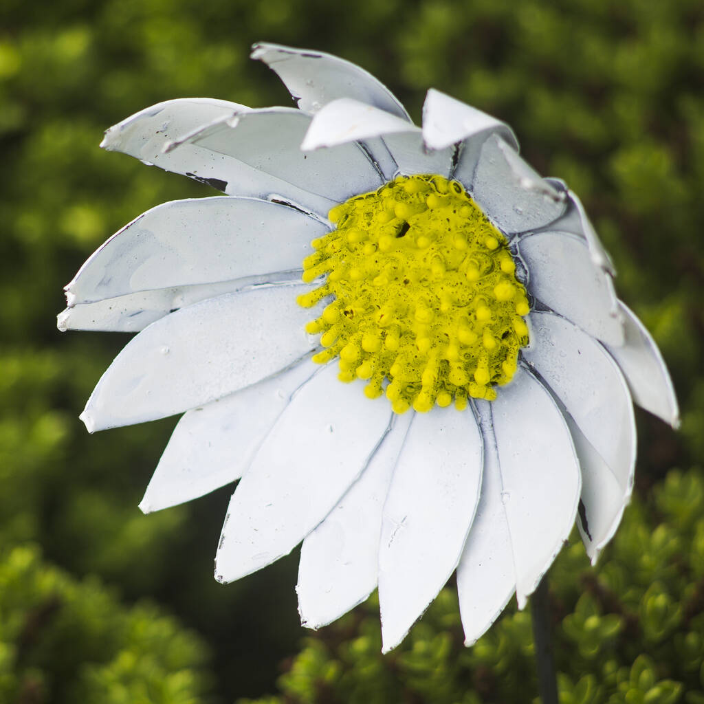 recycled metal daisy sculpture by chi-africa | notonthehighstreet.com