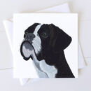'boxer' Dog Card By Bird | notonthehighstreet.com