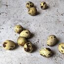 Natural Spring Floristry Display Box By The Danes | notonthehighstreet.com