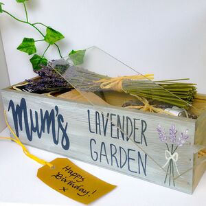 Potted Plant & House Plant Gifts | notonthehighstreet.com