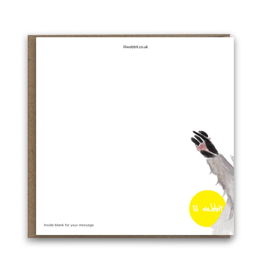 Good Luck Raccoon Card By lil wabbit | notonthehighstreet.com