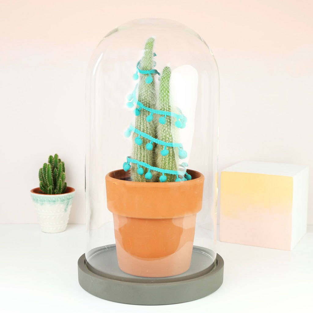 glass display dome with base by lisa angel | notonthehighstreet.com