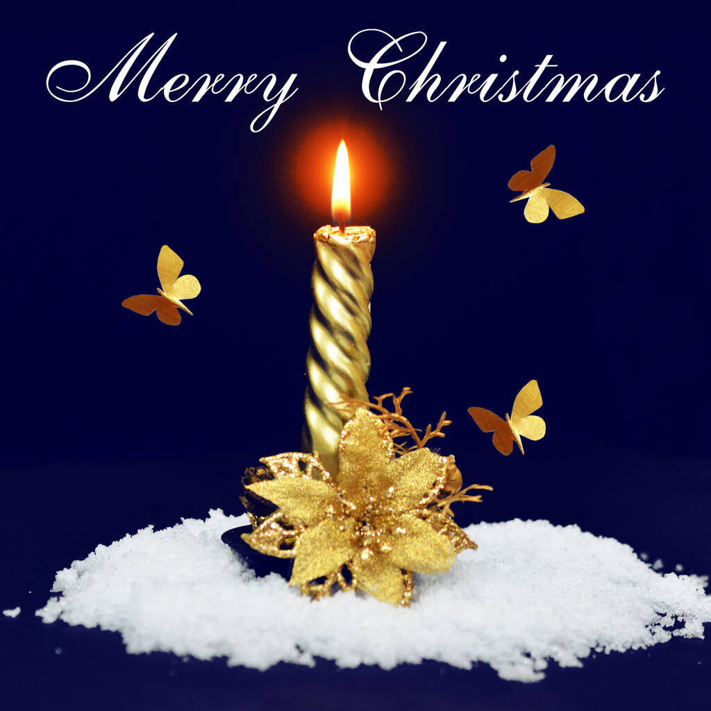 Five Butterfly Robin Happy Christmas Butterflies Cards By Inkywool ...