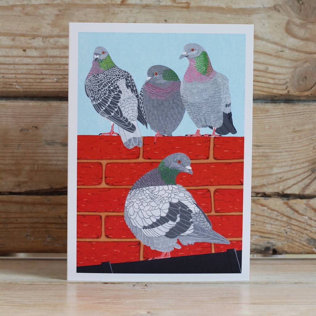 pigeons card by bird | notonthehighstreet.com