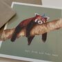 Napping Red Panda Birthday Card By lil wabbit | notonthehighstreet.com