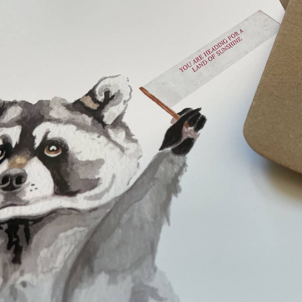 Good Luck Raccoon Card By lil wabbit | notonthehighstreet.com