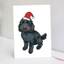 Black Cockapoo Christmas Card By Pet Portrait Illustration ...