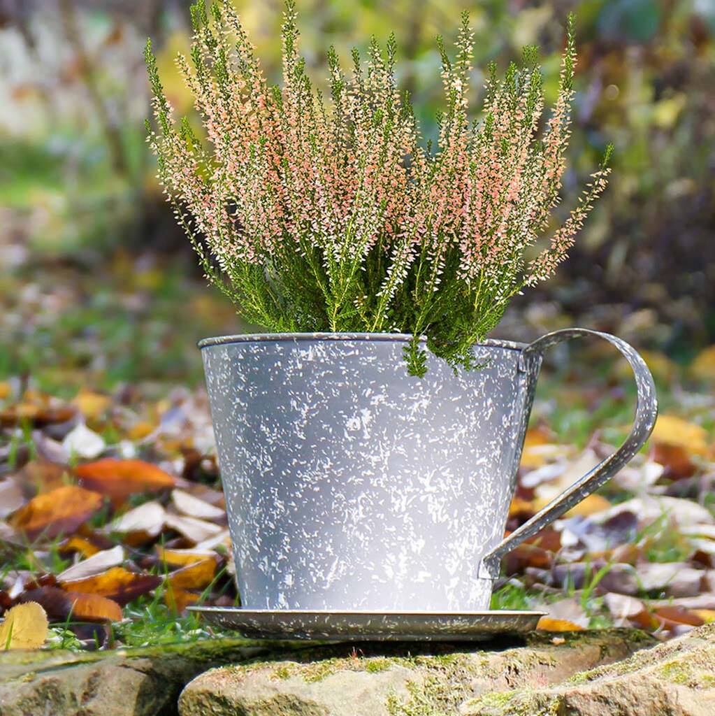 Grey Speckled Tea Cup Planter By Dibor | notonthehighstreet.com