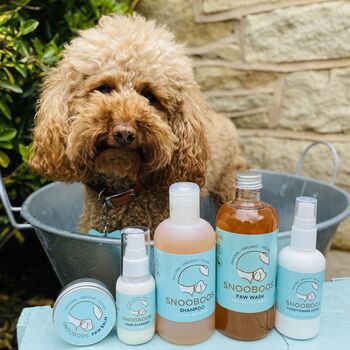 Dog Spa Gift Box By Snooboos | notonthehighstreet.com