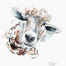 Inky Sheep Illustration Print By Kate Moby | notonthehighstreet.com