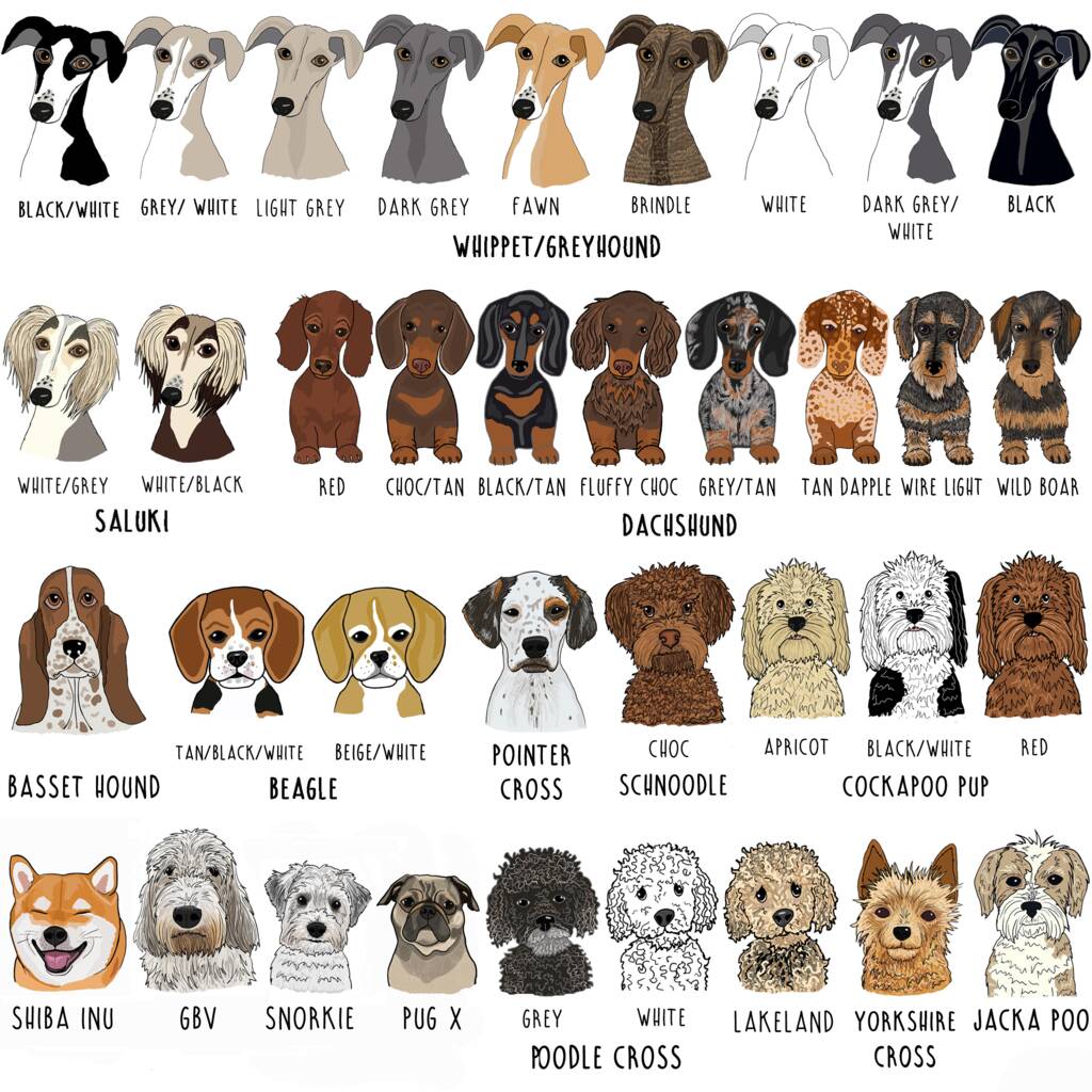 Personalised Dog In A Jumper Mug By Syd&Co