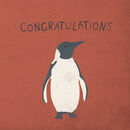 'congratulations' Penguin Greeting Card By Lil3birdy ...
