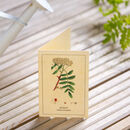 Rowan 'the Tree Of Life' Gift By Alba Trees Online | notonthehighstreet.com