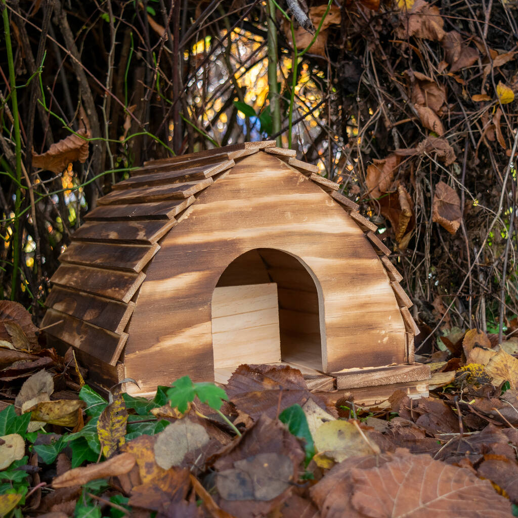 Wooden Hedgehog House Outdoor Wildlife Shelter By NOAH'S ARK ...