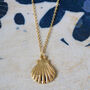 Dainty 18 K Gold Filled Shell Clam Necklace By Elk & Bloom ...