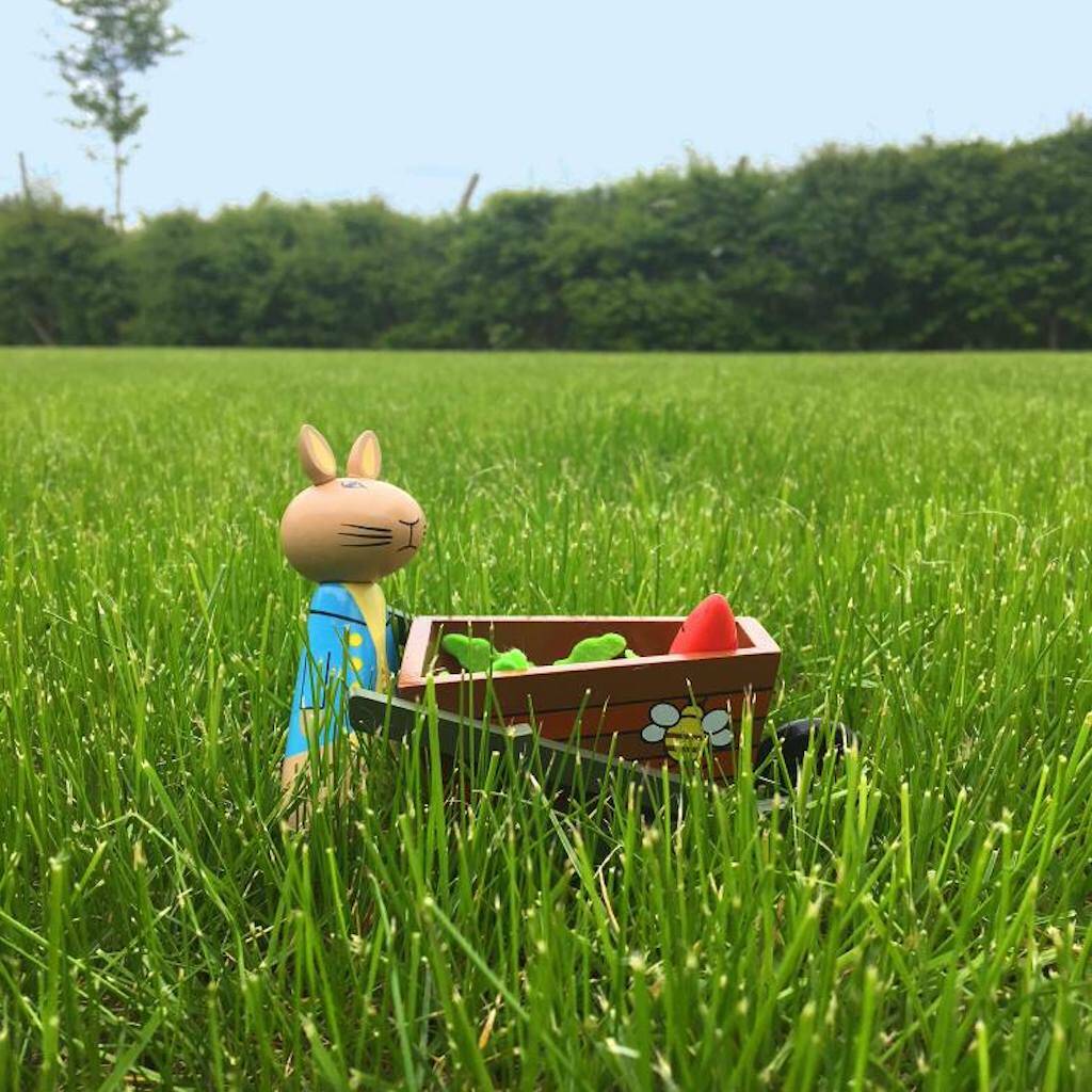 Peter Rabbit Wooden Play Set By Crafts4Kids | notonthehighstreet.com