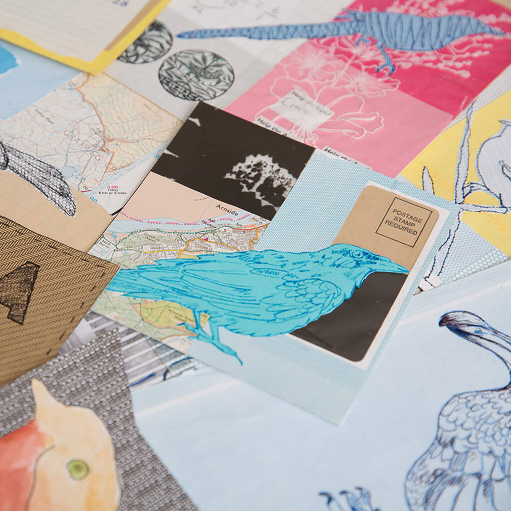 bird themed creative collage kit by johny todd ltd | notonthehighstreet.com