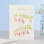 Fuchsia Birthday Card By Eloise Hall | notonthehighstreet.com