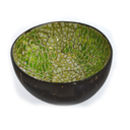 gold pattern coconut shell snack bowl by lotus direct ...