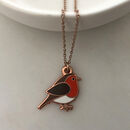 Robin Necklace By Chameleon And Co | notonthehighstreet.com