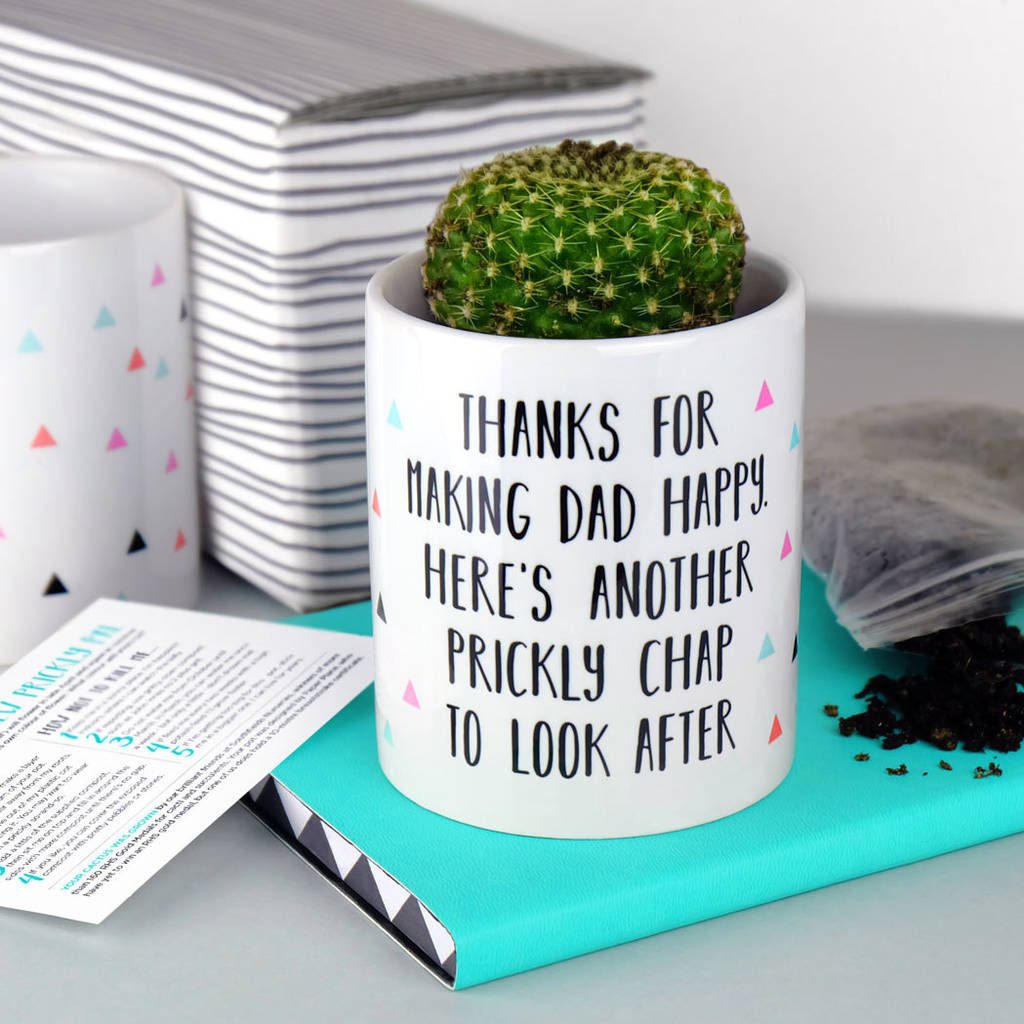 stepmum thanks for making dad happy cactus plant pot by paper plane ...