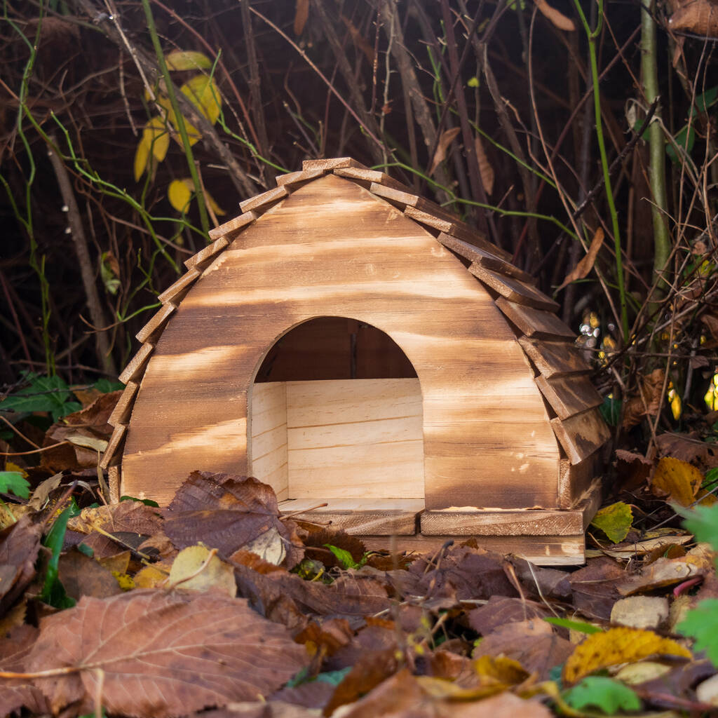 Wooden Hedgehog House Outdoor Wildlife Shelter By NOAH'S ARK ...