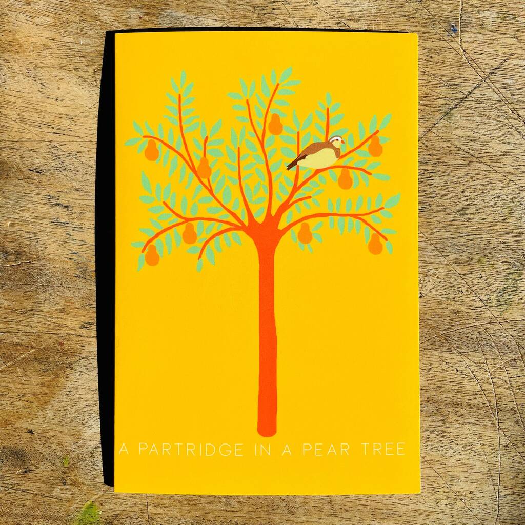 Christmas Birds Six Card Pack By Tamzin Harris