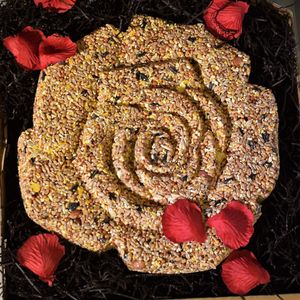 Bird Feeders | notonthehighstreet.com