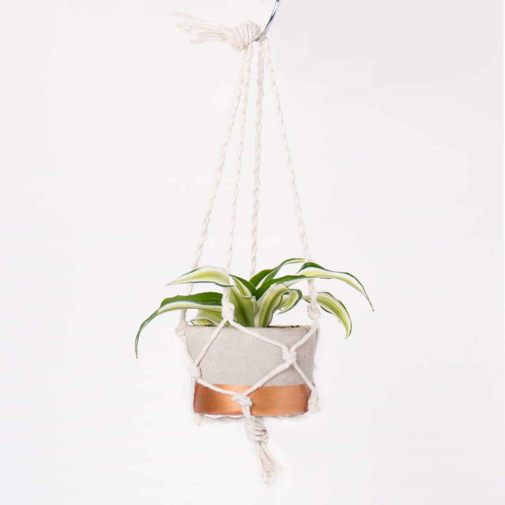 Make Your Own Hanging Planter Kit By All Things Brighton Beautiful 