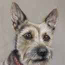 Personalised Pet Portrait Commission By When I Was A Kid ...