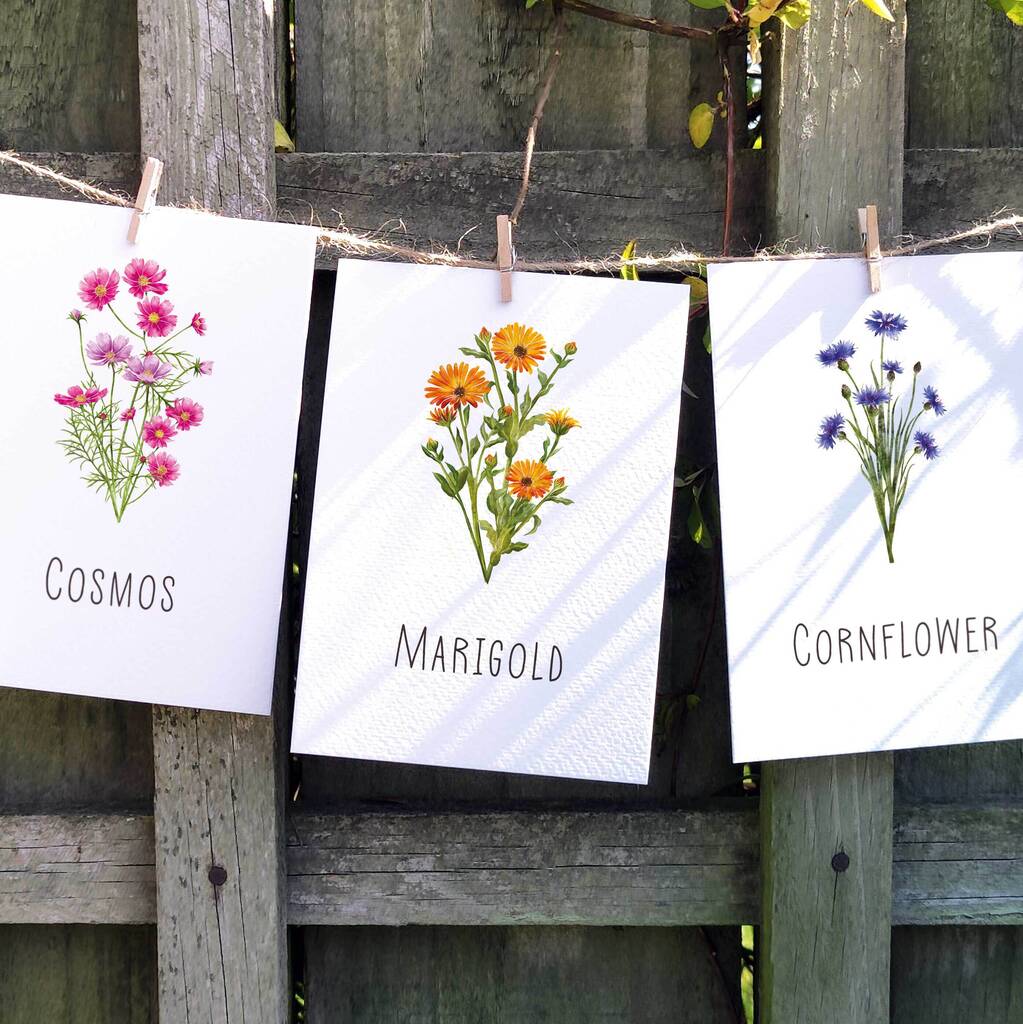 Flower Table Name Card By Paper Willow | notonthehighstreet.com