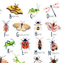 Insect Alphabet Art Print By Amber Davenport | notonthehighstreet.com