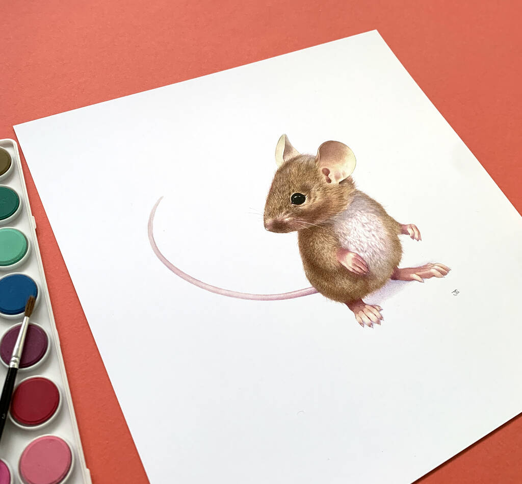 Illustrated Mouse Print By Little Blue Zebra | notonthehighstreet.com