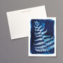 British Ferns Postcard Pack Of Five By Paper Birch | notonthehighstreet.com
