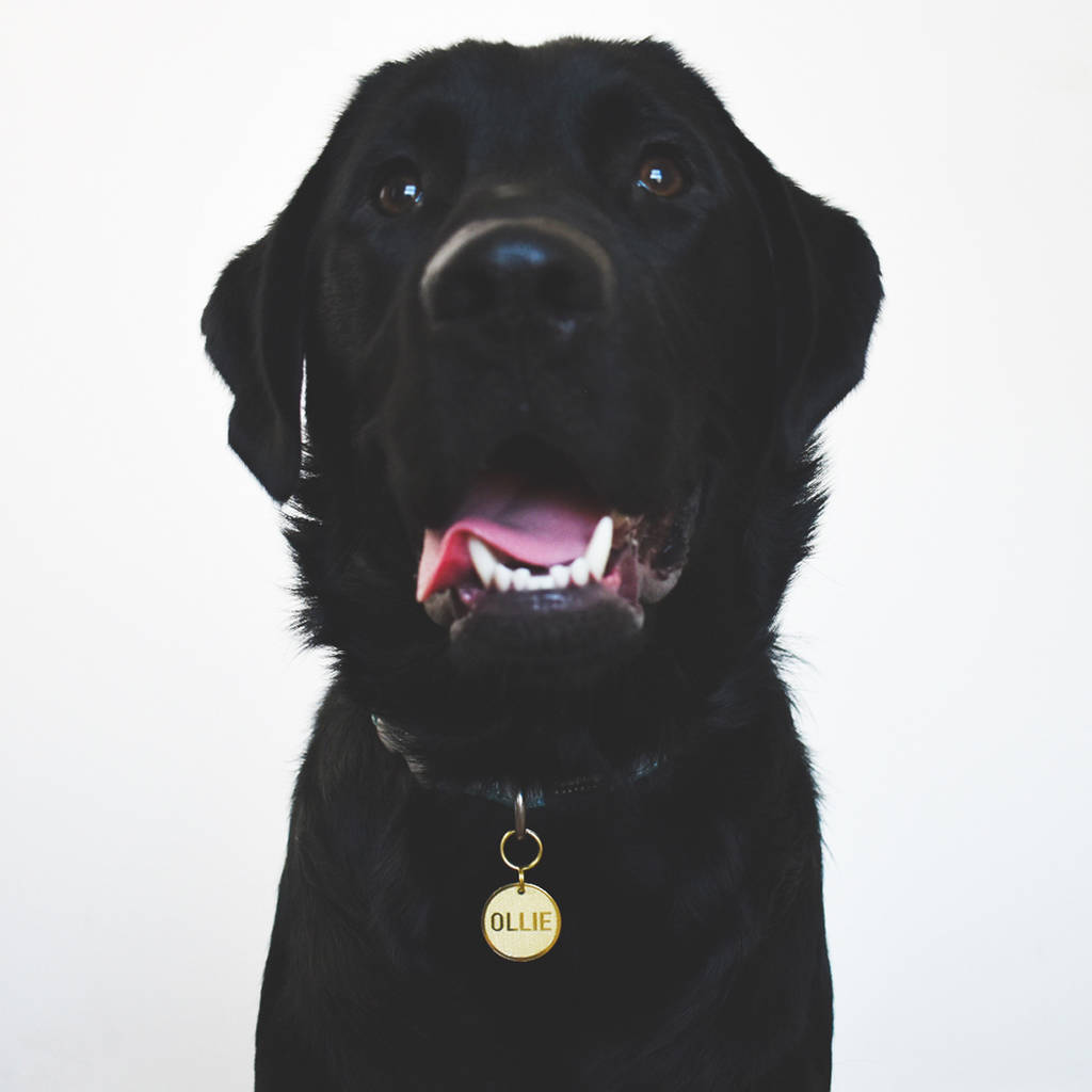 Dog ID Name Tag By The Rambling Hound Notonthehighstreet