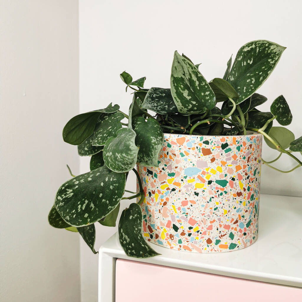 Handmade Terrazzo Colourful Indoor Plant Pot By Slow Make Studio ...