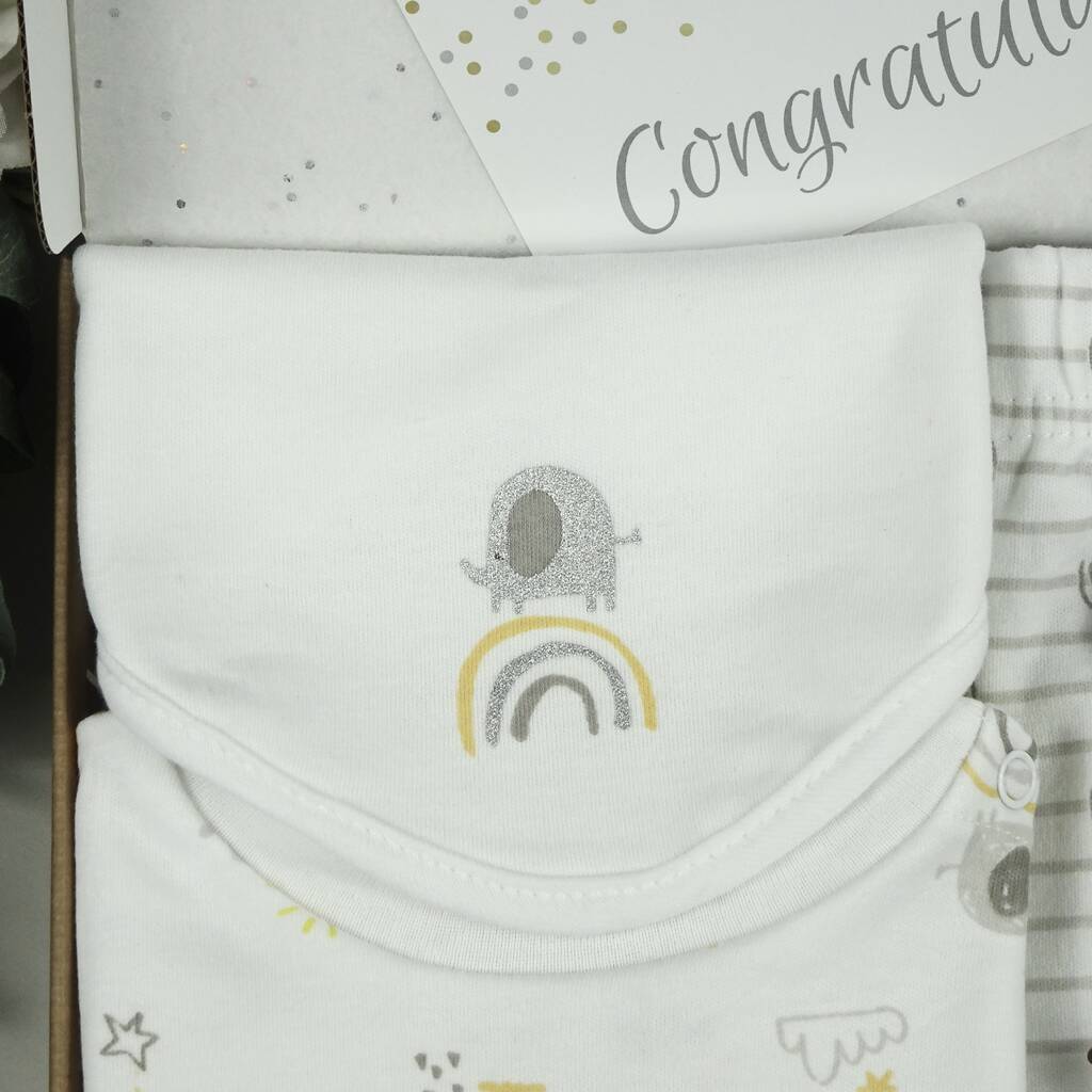 Born In 2022 Safari New Baby Letterbox Gift Box By The Baby Hamper ...